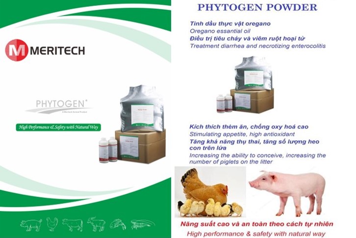 Phytogen® Powder - JILY PHU KHAI ANIMAL NUTRITION