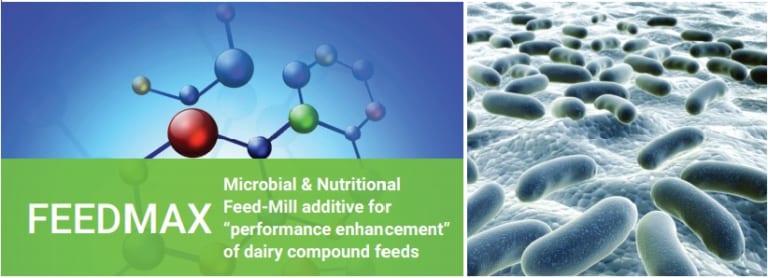 FeedMax® - JILY PHU KHAI ANIMAL NUTRITION